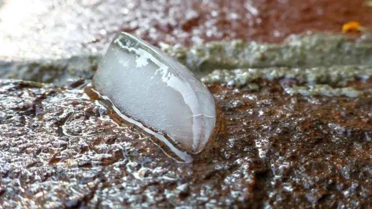 Interesting things to explore about how does an ice cube melt? - Eco ...