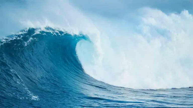 Everything you need to know about what is wave energy? - Eco Friendly Fact