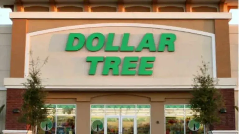 Dumpster diving at Dollar Tree: Everything You Need to Know! - Eco ...