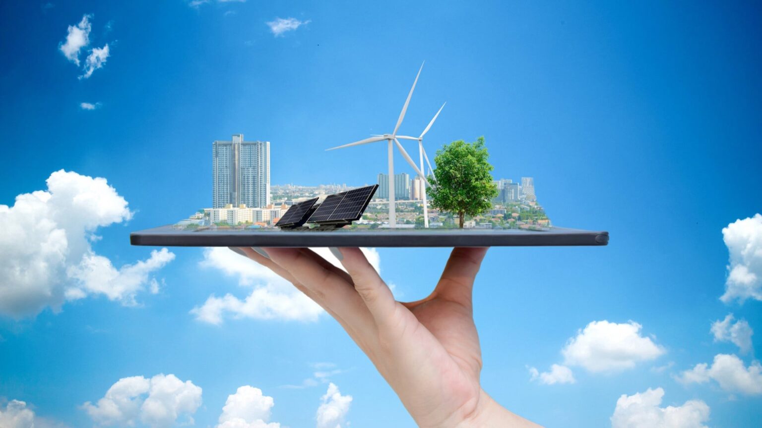 Celebrate World Environment Day: Gift a Tree Planted for a Greener ...